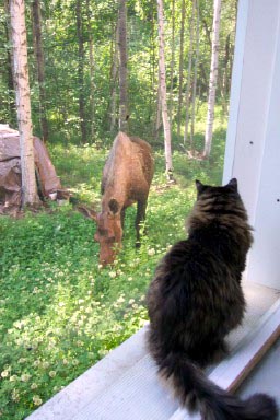 Big Red Blog: July 2005